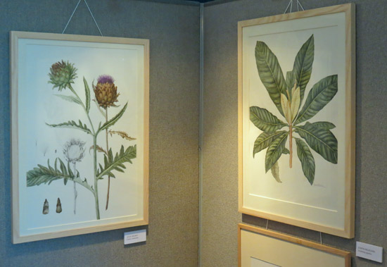 MAKING A MARK: Two Botanical Art Exhibitions
