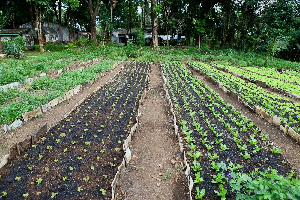 Melendres Farm || Antipolo, Rizal