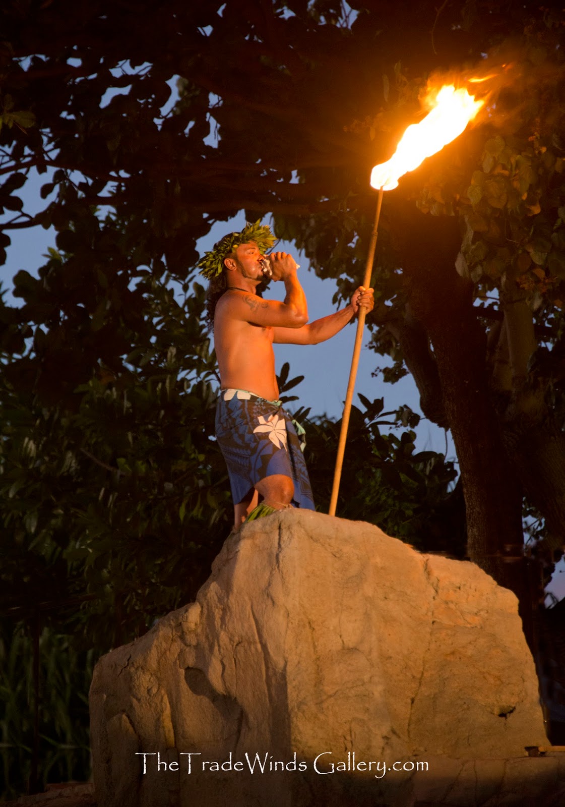 Shutterbugs Capturing the World Around Us: The blowing of the conch ...