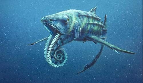 Tiburones en Galicia: Helicoprion