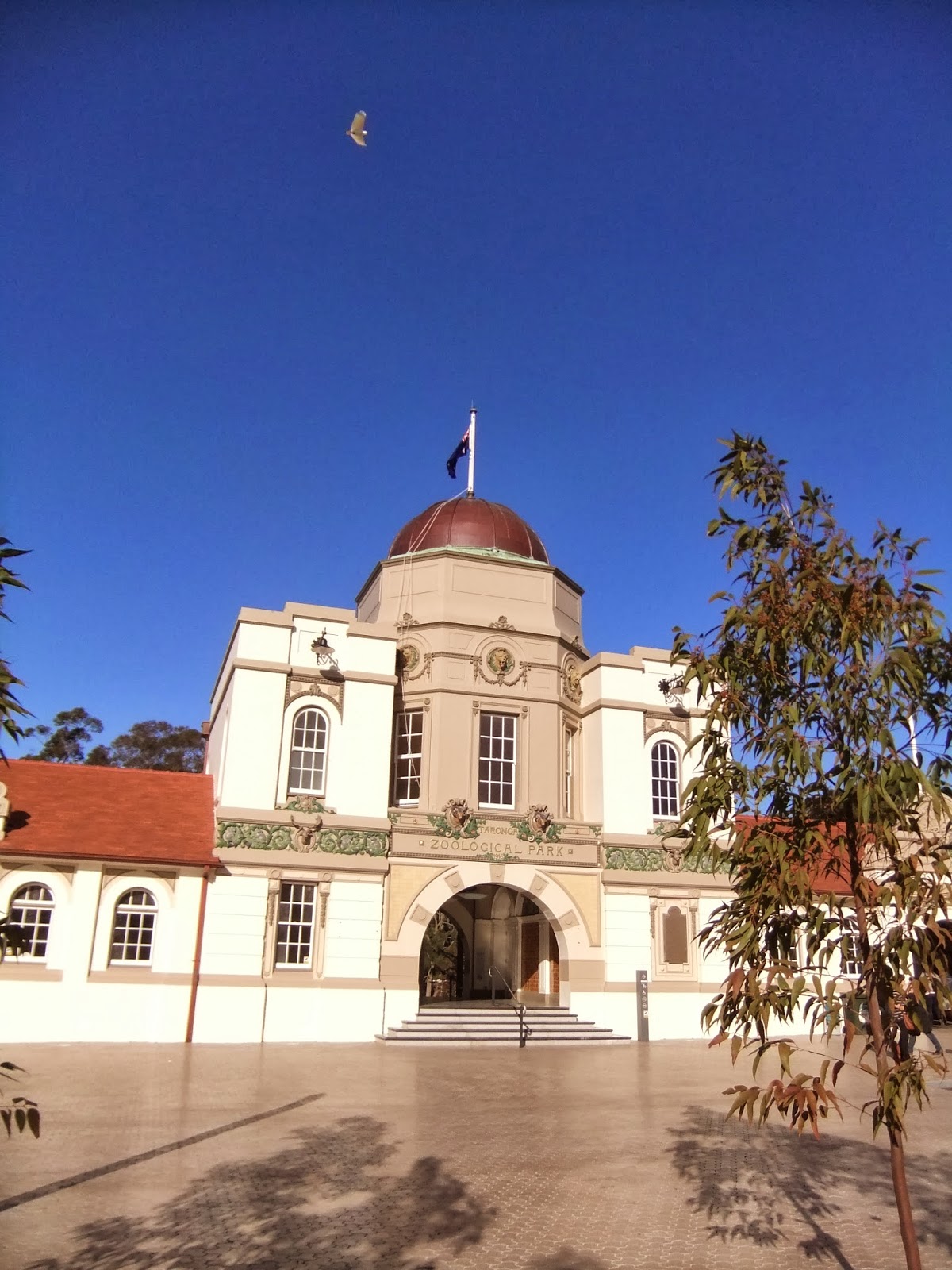 Stu @ the Zoo: Inside Zoos - Entrances