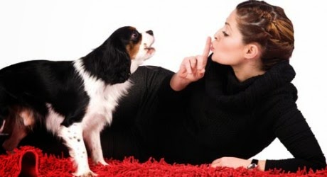 Psicologia Animal - PsiqueGeeks