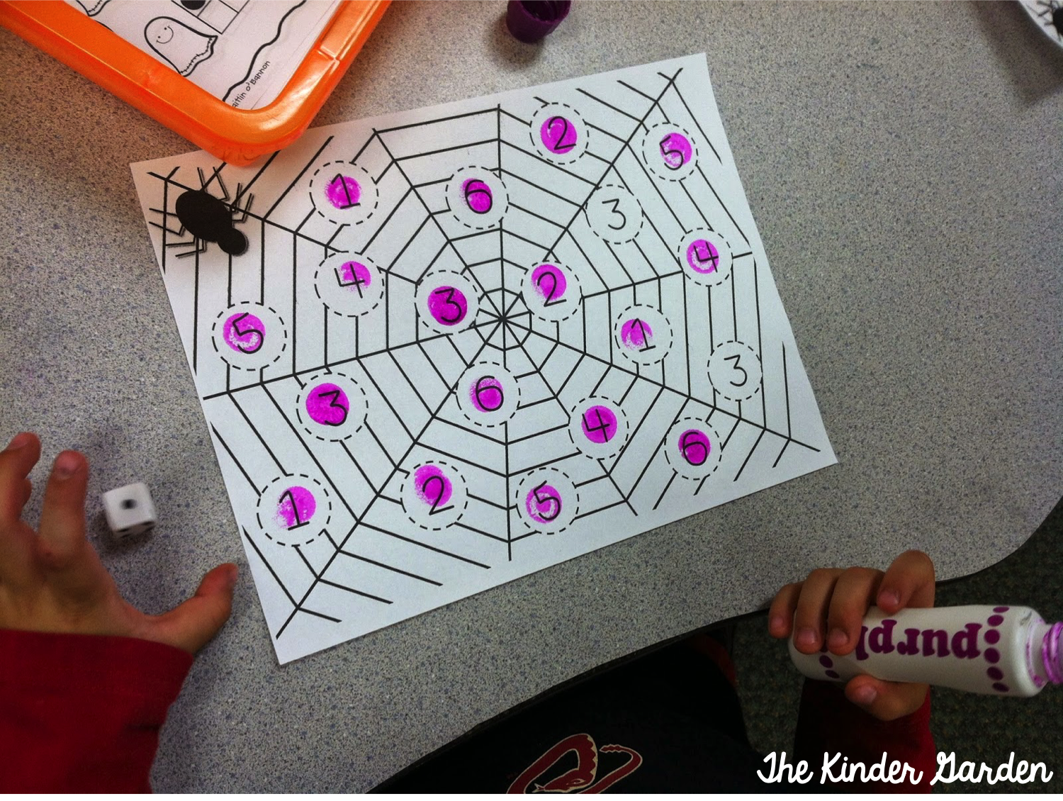 The Kinder Garden: Spider Study!