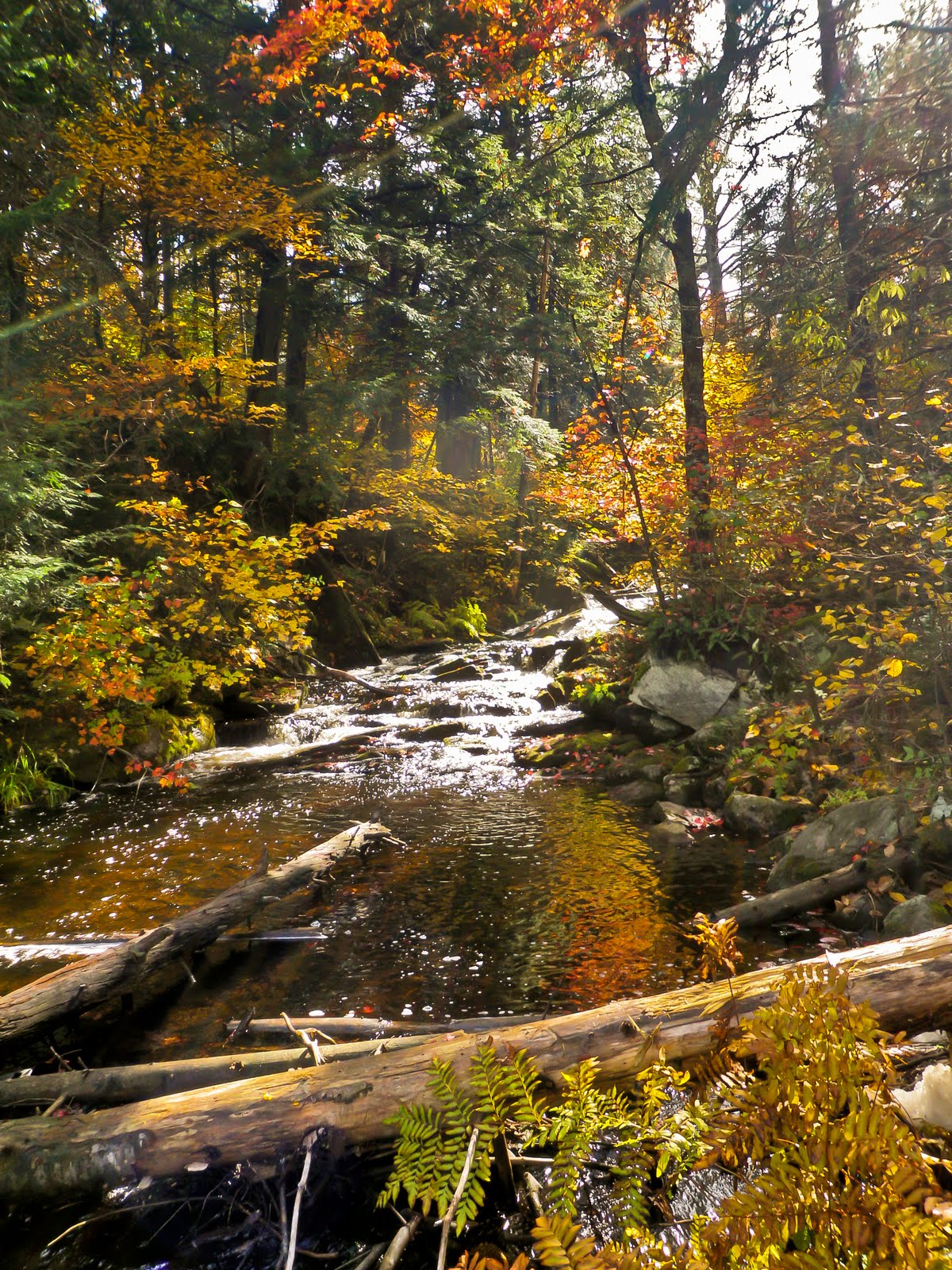Nicks Outdoor Adventures: Big Trout Lake Loop Fall 2010 - Part 2