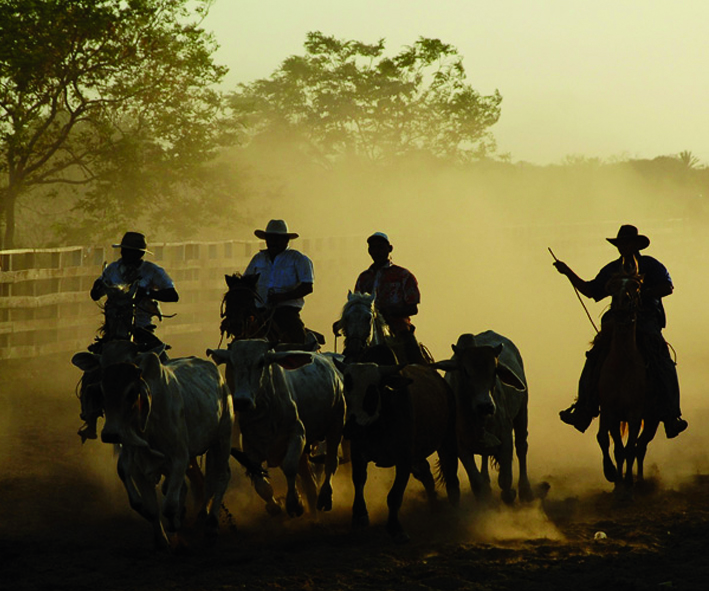 Cultura: Cultura Llanera Colombiana