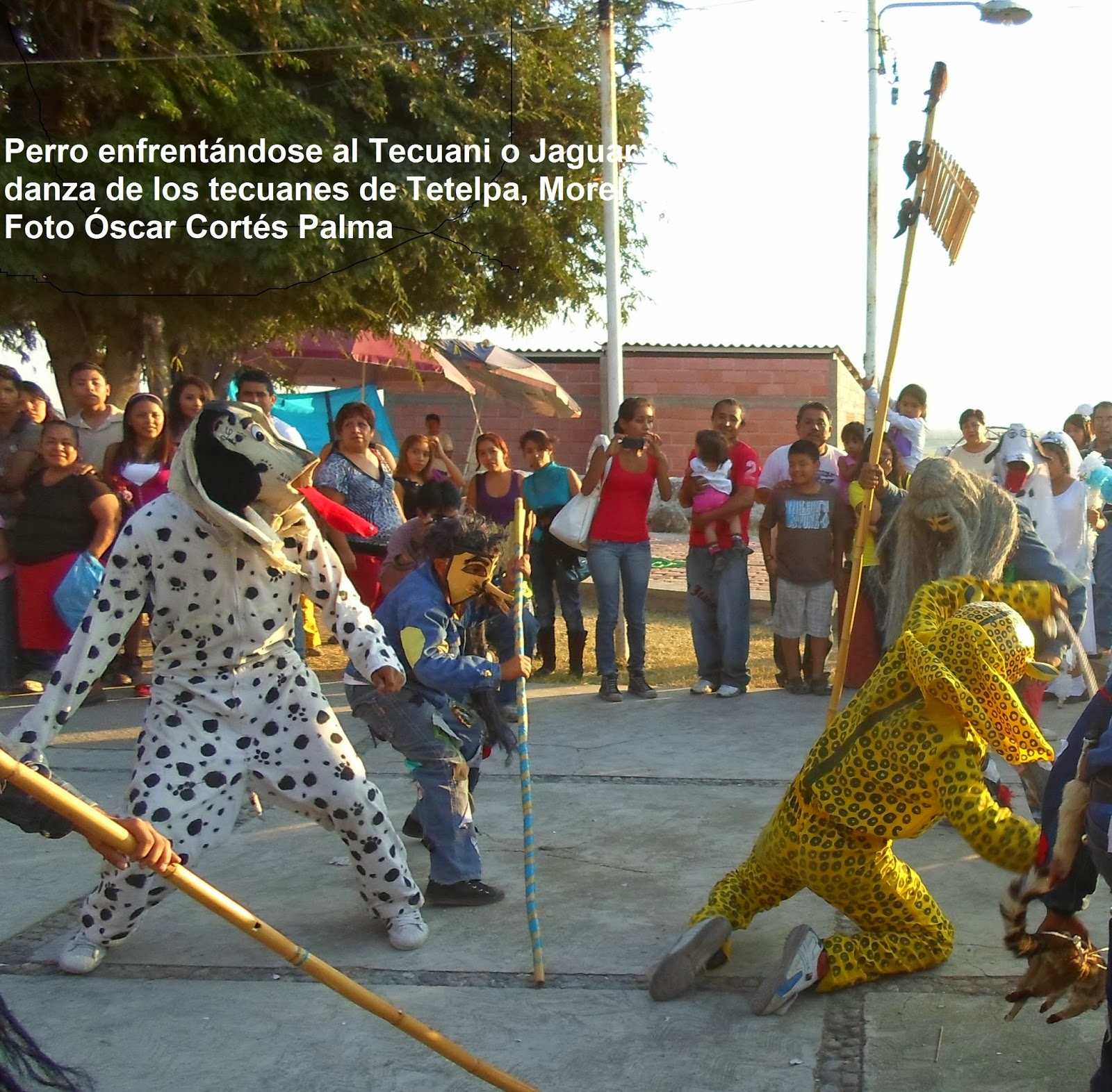 Historia de las danzas comedias y parodias tradicionales rituales