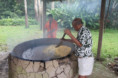 2013: Manaus, Amazonia, Brazil