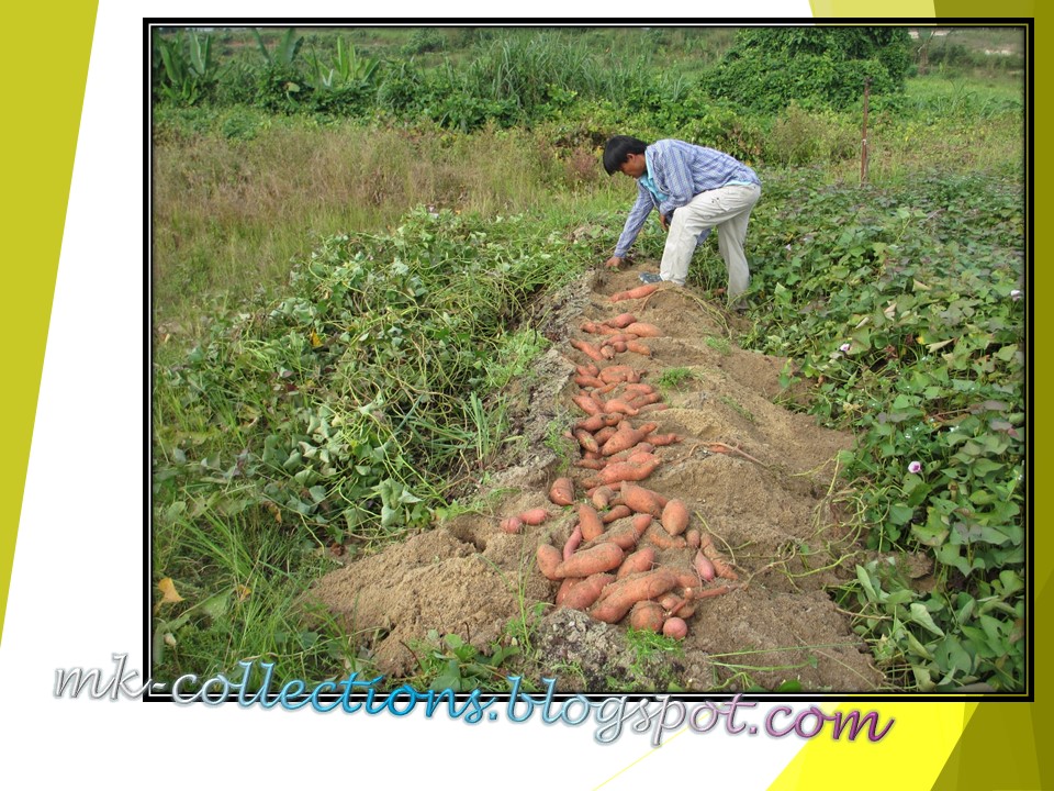 MK Collections...: Keledek Kulit Merah Isi....