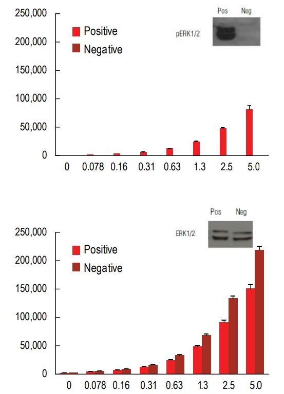 超靈敏電化學發光免疫分析技術 Electrochemiluminescence (ECL)_Intracellular signaling