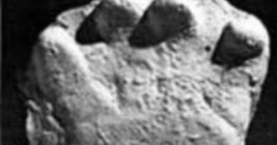 A Guide to Bigfoot: Bigfoot Hand prints