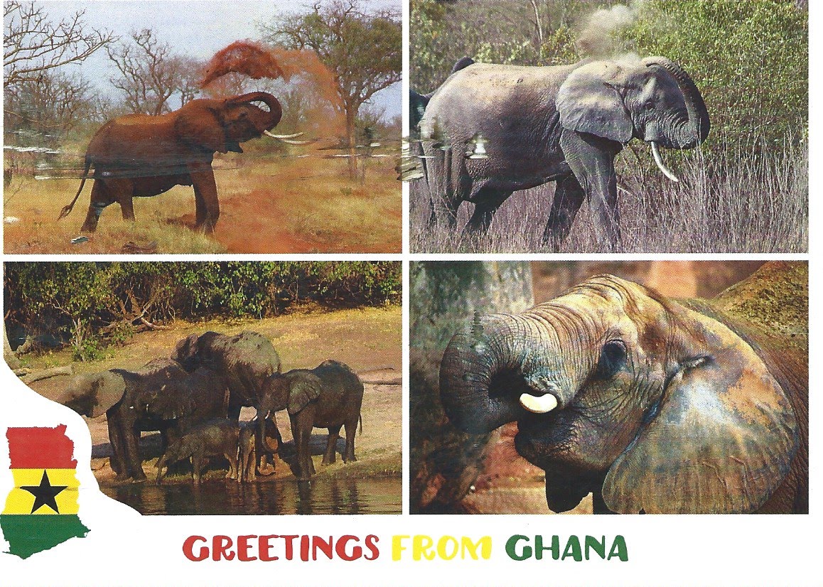 MY POSTCARD-PAGE: GHANA ~ Mole National Park - West Gonja District