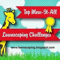 Lawnscaping Challenge: CAS Winners: Queen of the Green, Top Mow-It-Alls ...