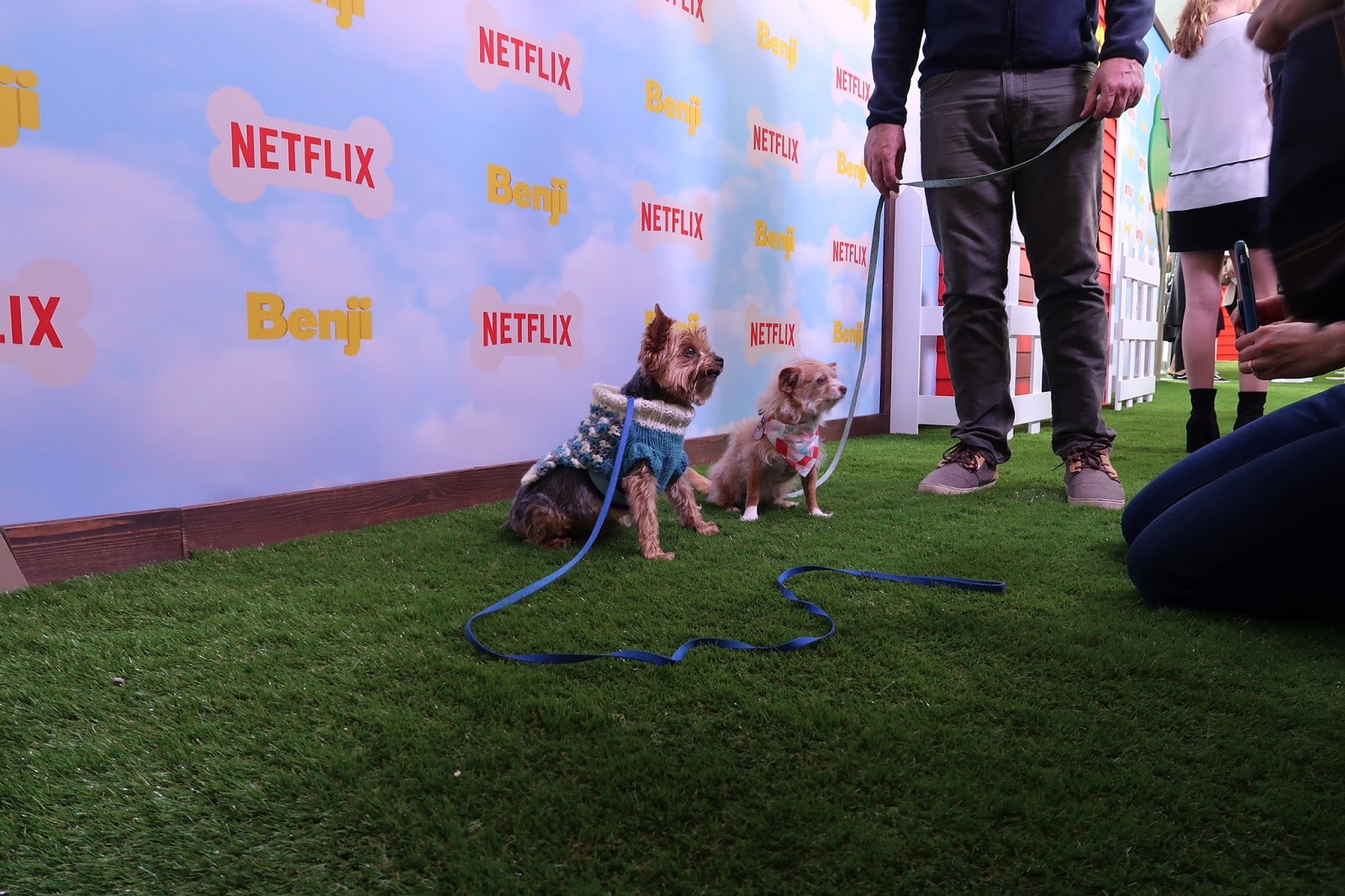 Netflix's BENJI | Happy Mess MOMents