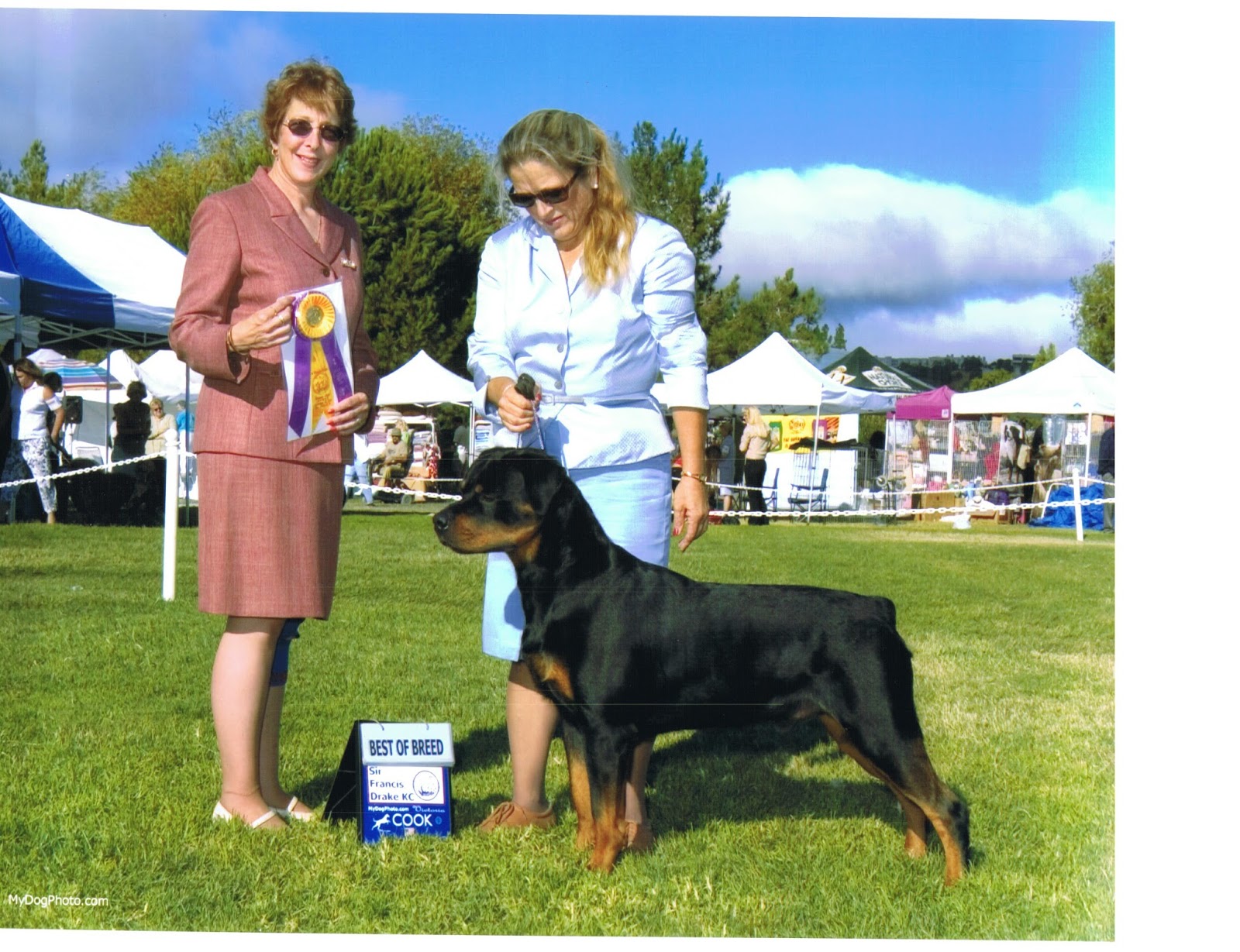 Milagro Rottweilers: STUD DOGS