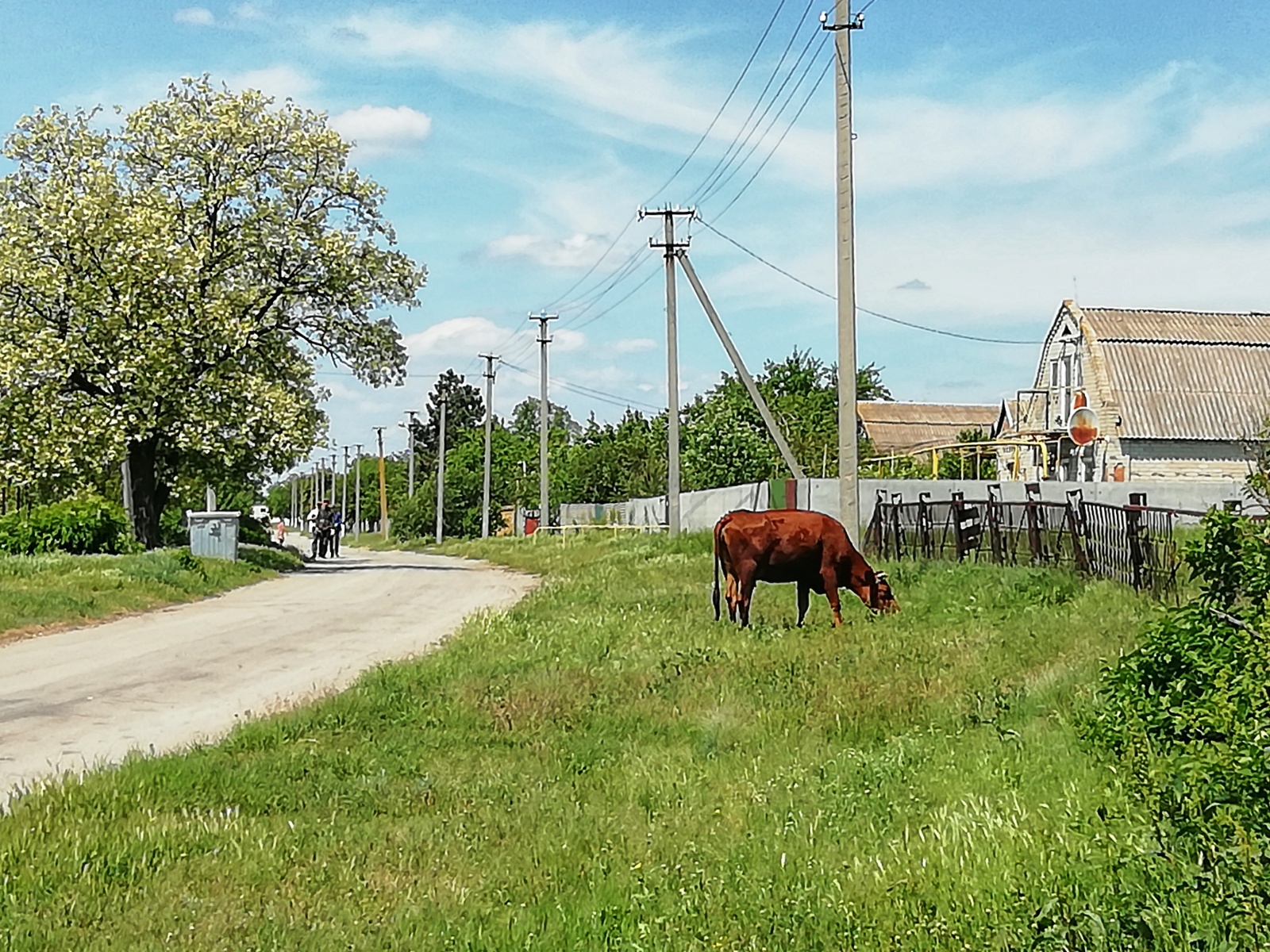 Saw this, did that.: Visiting the Chortitza colony - part 1