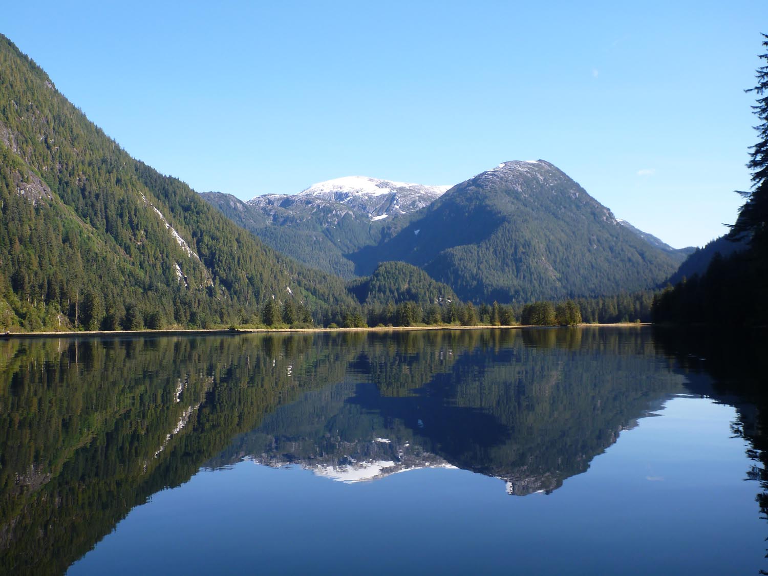 Thames Nature Notes: Swapping the Thames for beautiful British Columbia
