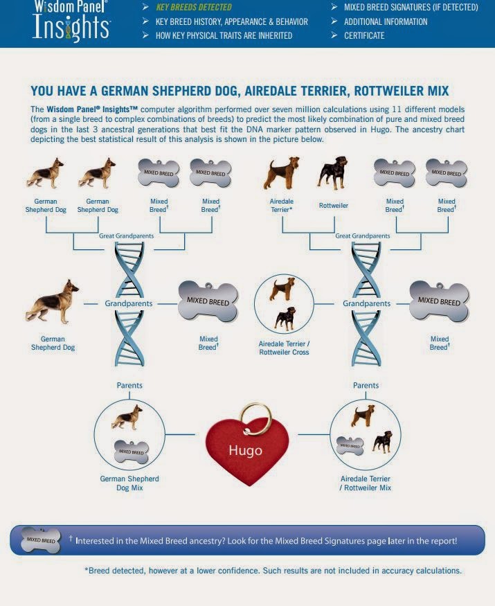 My Rotten Dogs: Accuracy/Validity of Wisdom Panel Dog DNA Test ...