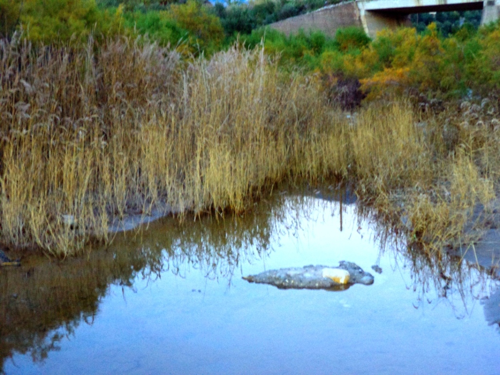 ΜΕΣΣΗΝΙΑΚΗ ΠΑΡΑΔΟΣΗ, ΛΑΟΓΡΑΦΙΑ και ΤΟΥΡΙΣΜΟΣ.: ΒΟΥΝΑ-ΠΟΤΑΜΙΑ-ΛΙΜΝΕΣ