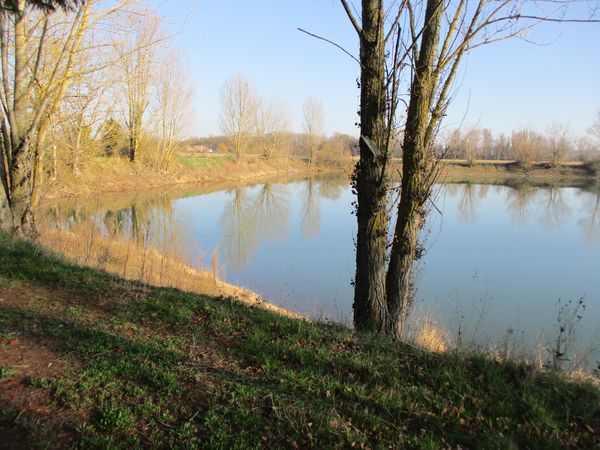 Sud-ouest Toulousain Randonnées: LONGAGES : Lac de la Linde