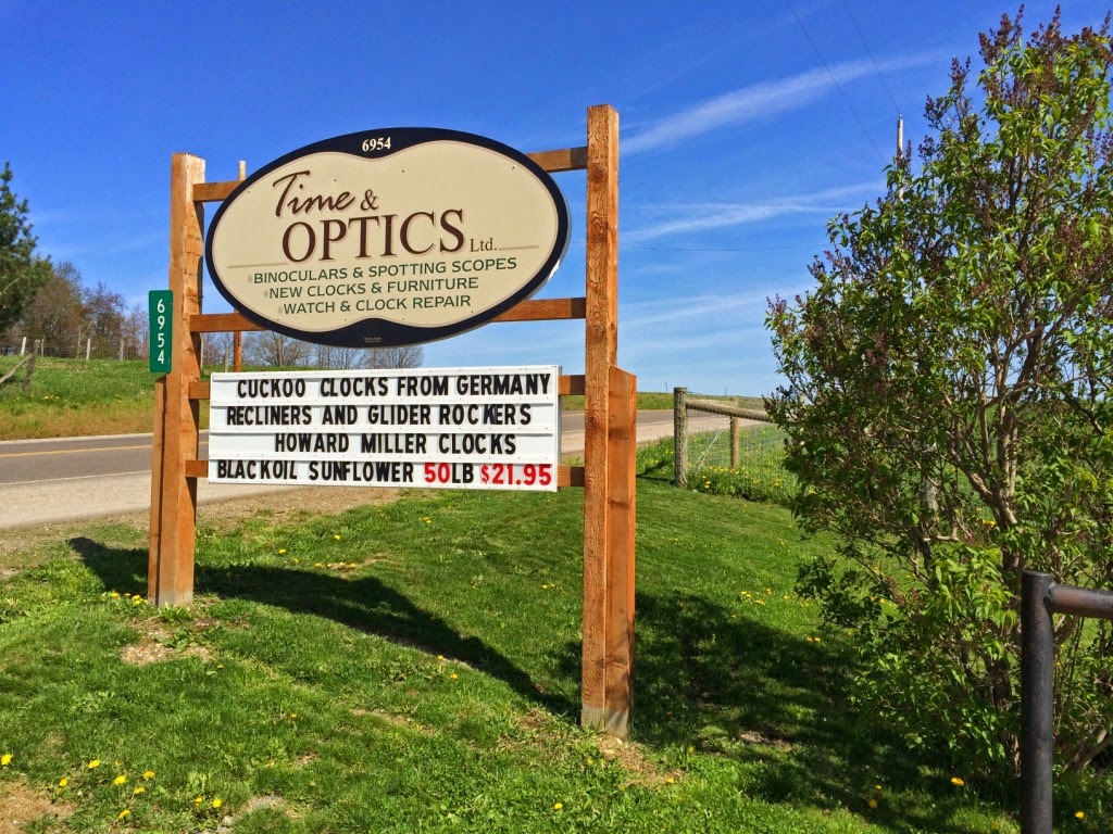 Ohio Birds and Biodiversity: Rock Wren, in Ohio!