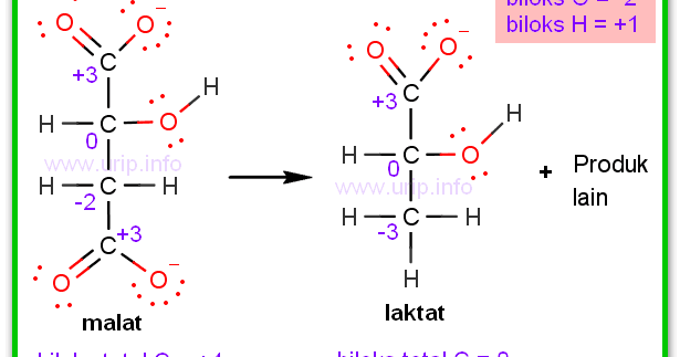 Teknik Penentuan Biloks Unsur pada Senyawa Organik - Serba Ada