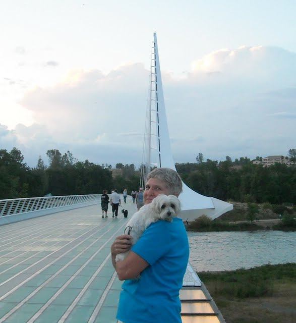 Sundial Bridge Pink