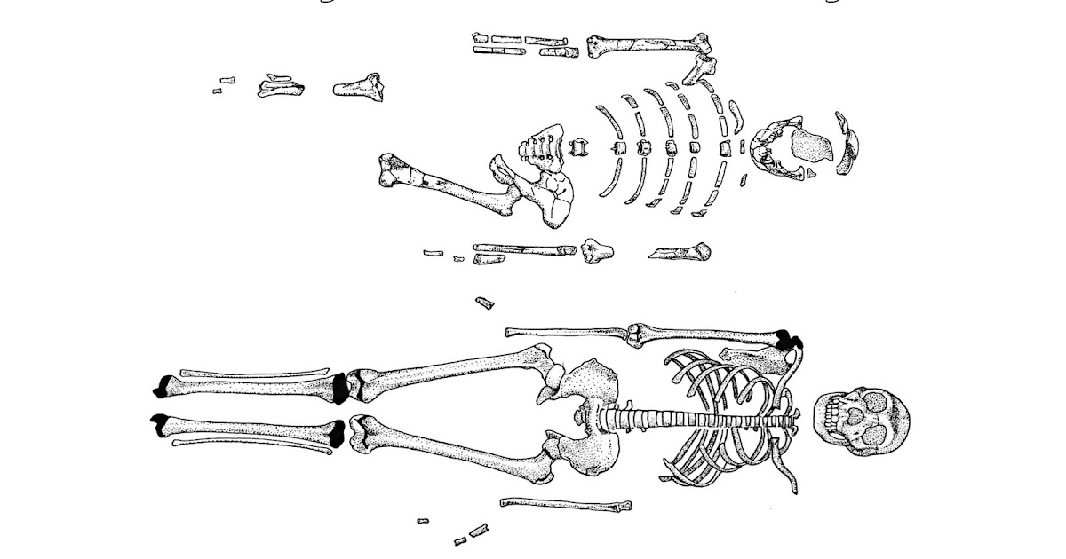 The Nations of the World: Lucy and Turkana Boy