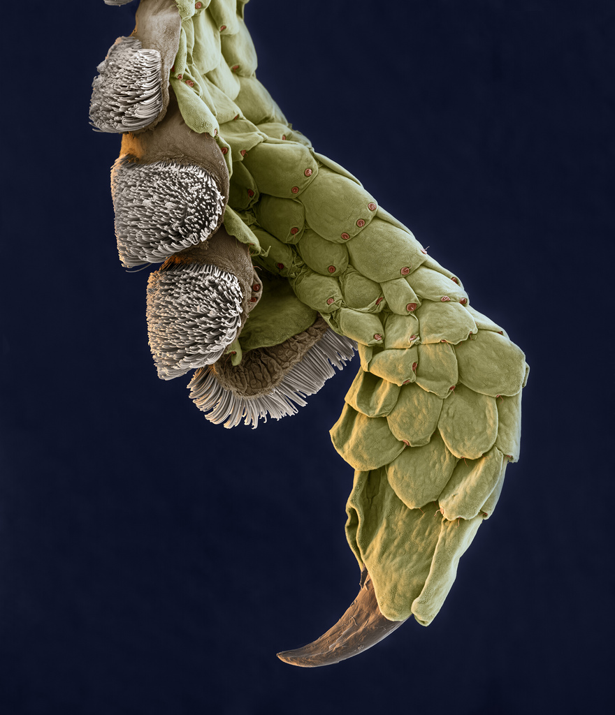 Very Small Things Can Make Very Big Impressions