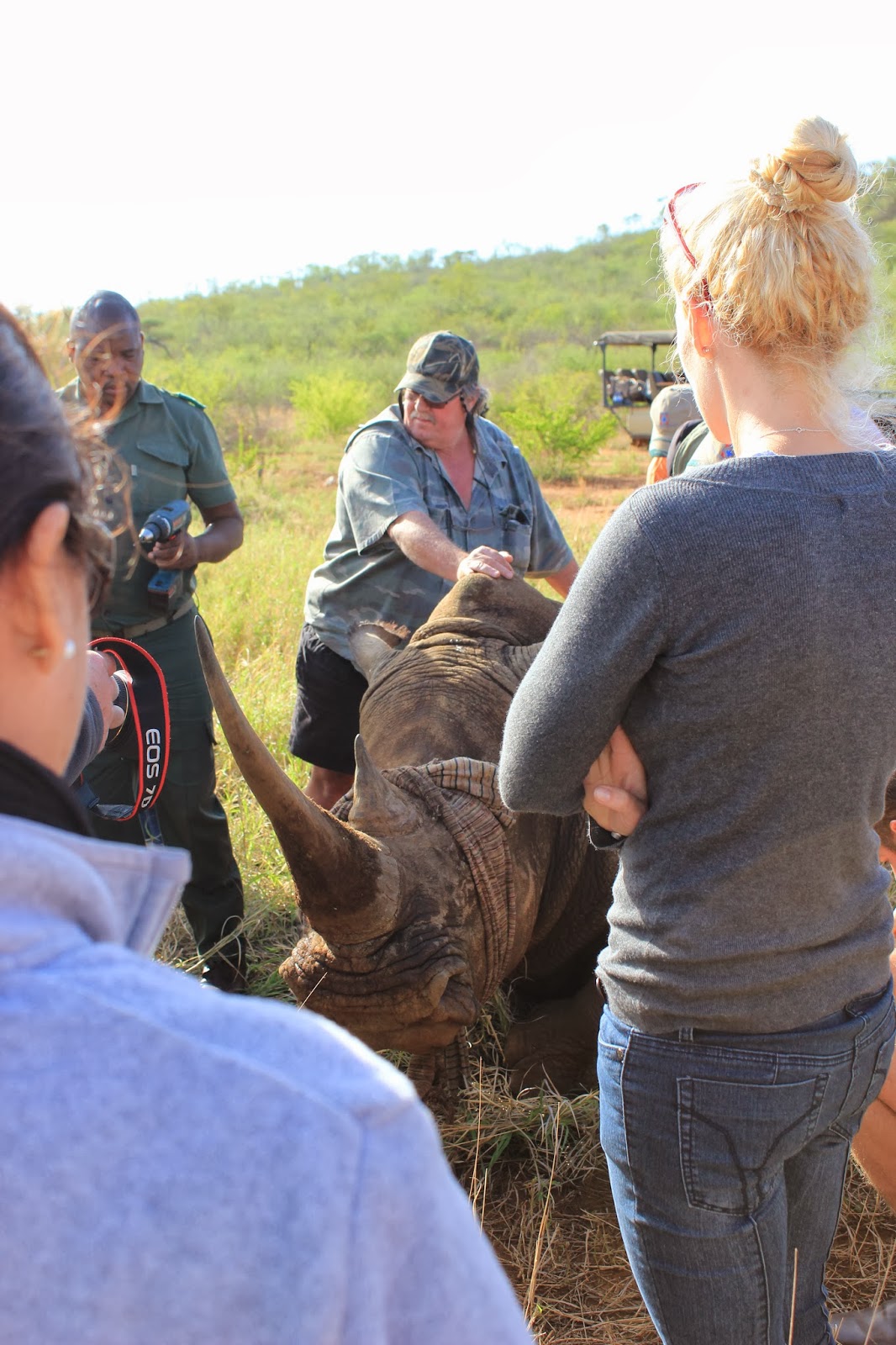 Bird in the Bushveld: Rhino Notching in Madikwe