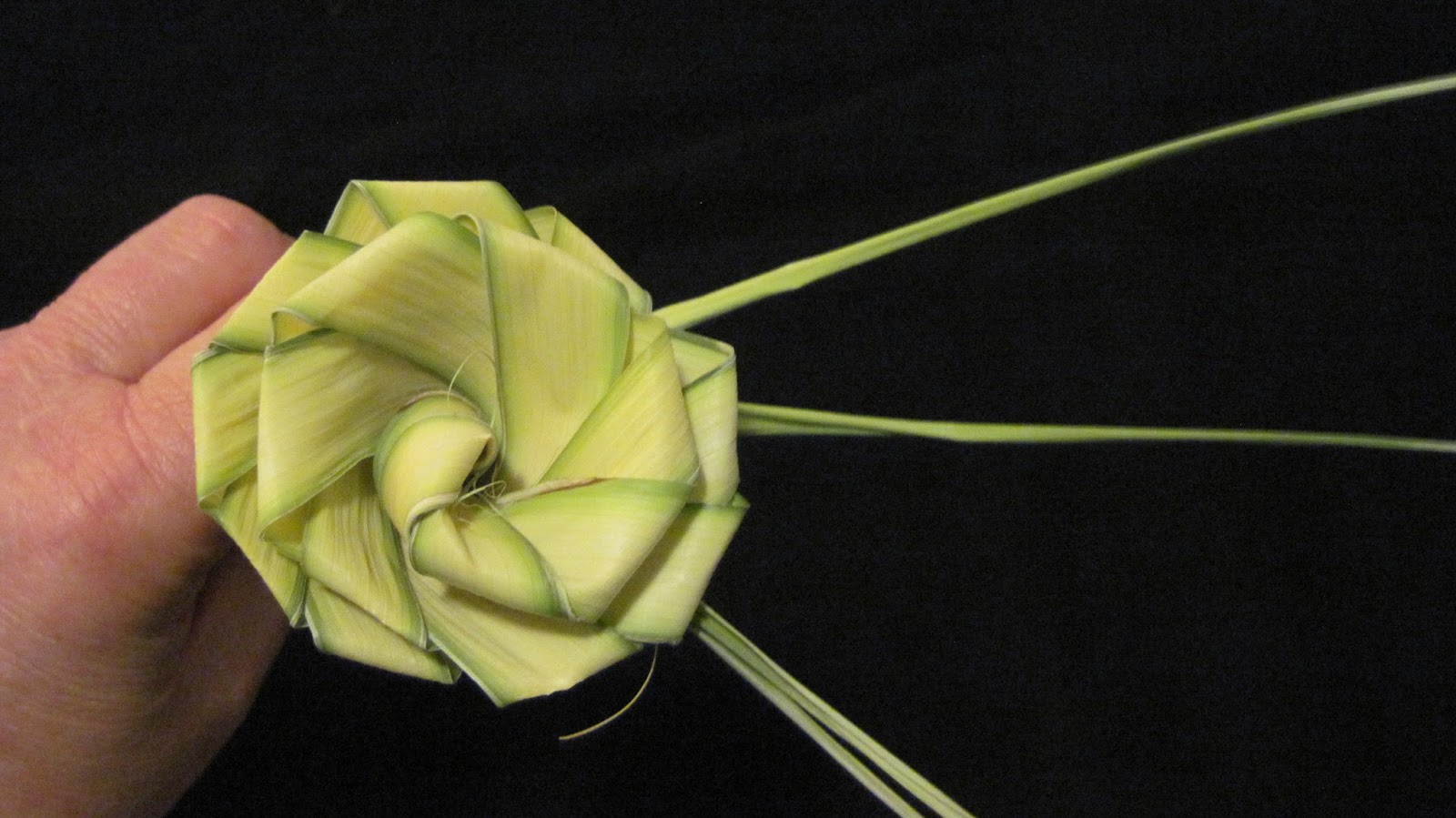 Knitting Yearns: Palm Weaving and Palm Braiding