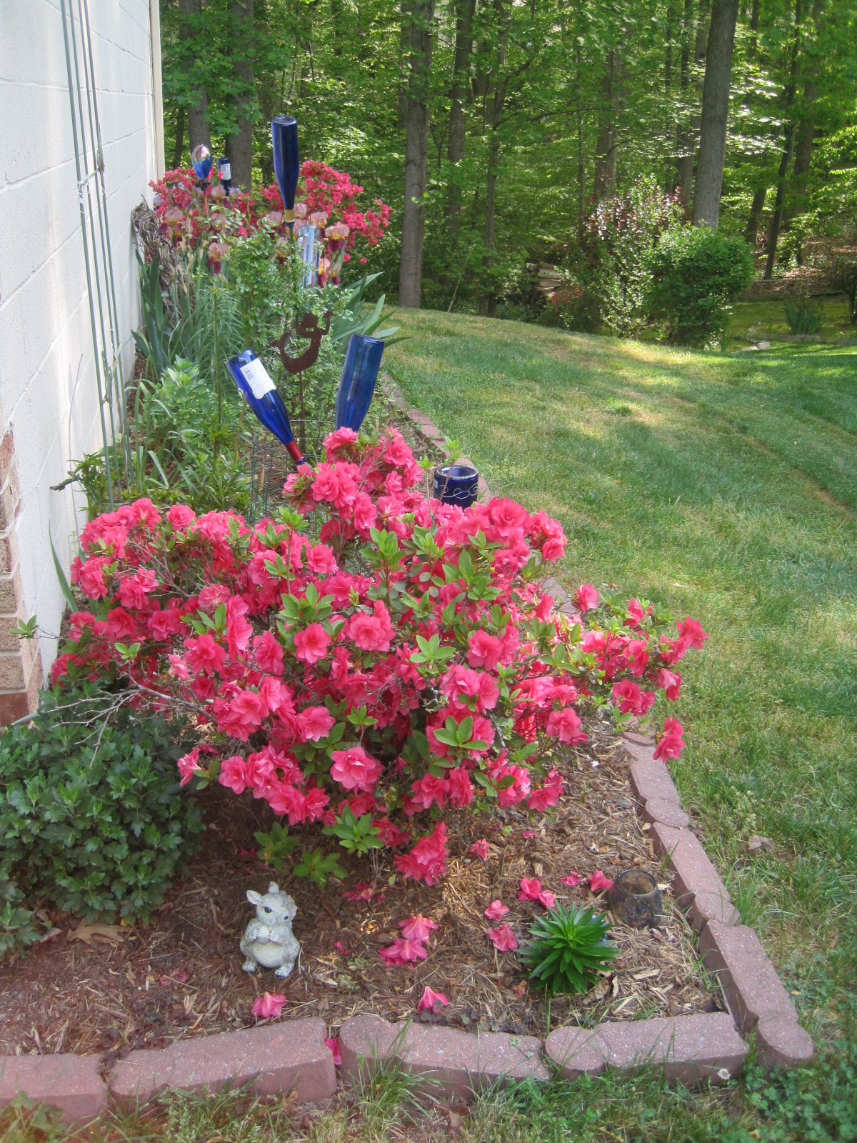 Kris's 2012 - A Photo A Day: Side Yard Flower Garden - May 5, 2012