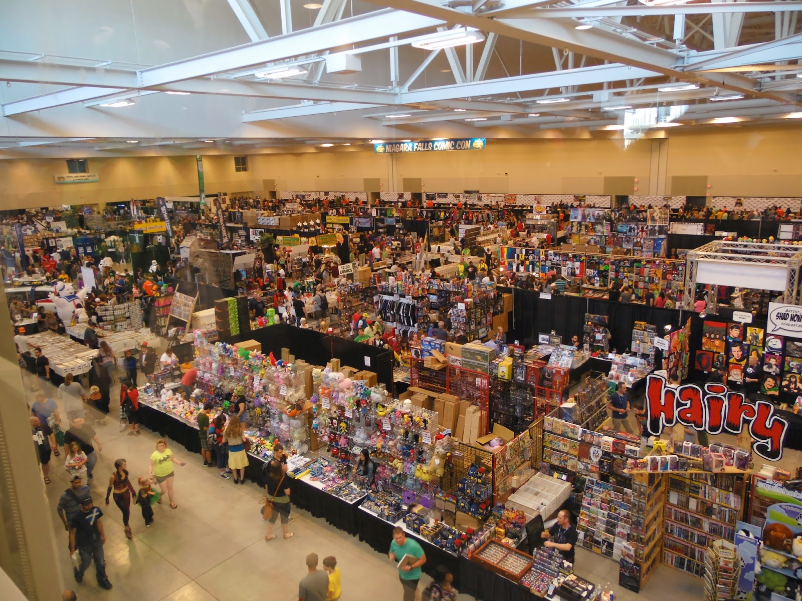 Christina Articulates: Christina does Niagara Falls Comic Con!