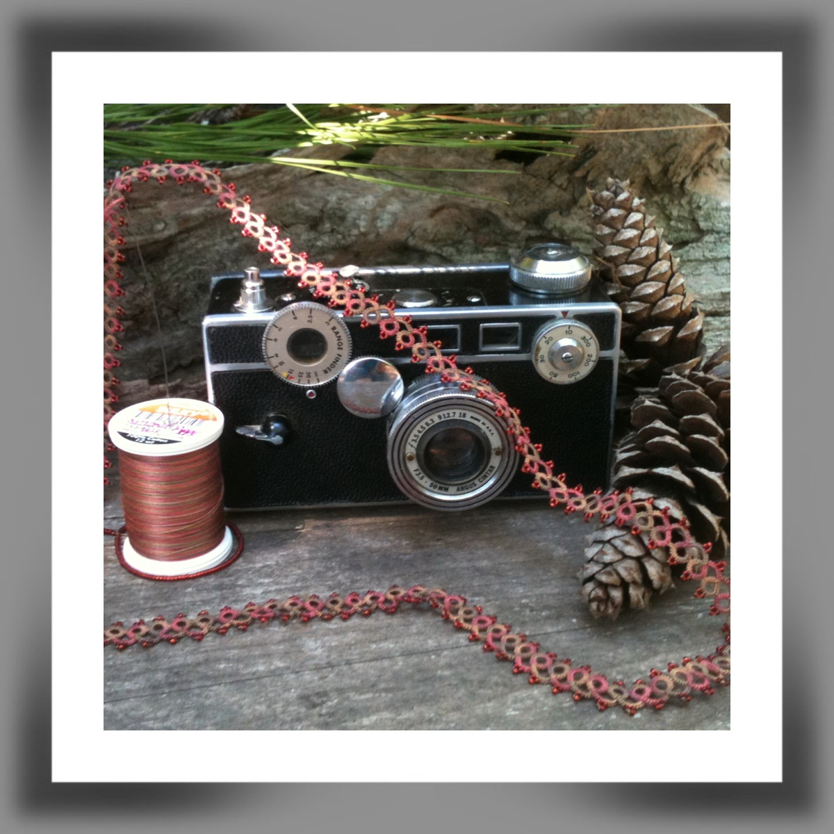 The Piney Woods Tatter: The Long Awaited Launch