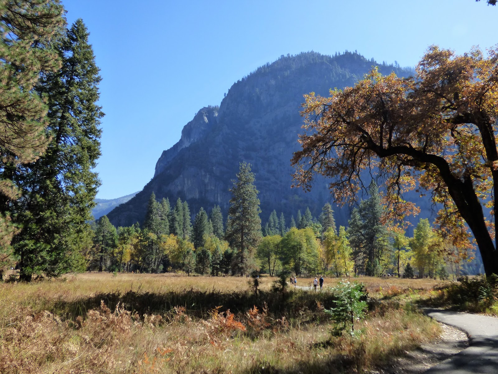 Geotripper: Finding Peace in the Nation's Most Crowded Park: A Walk ...