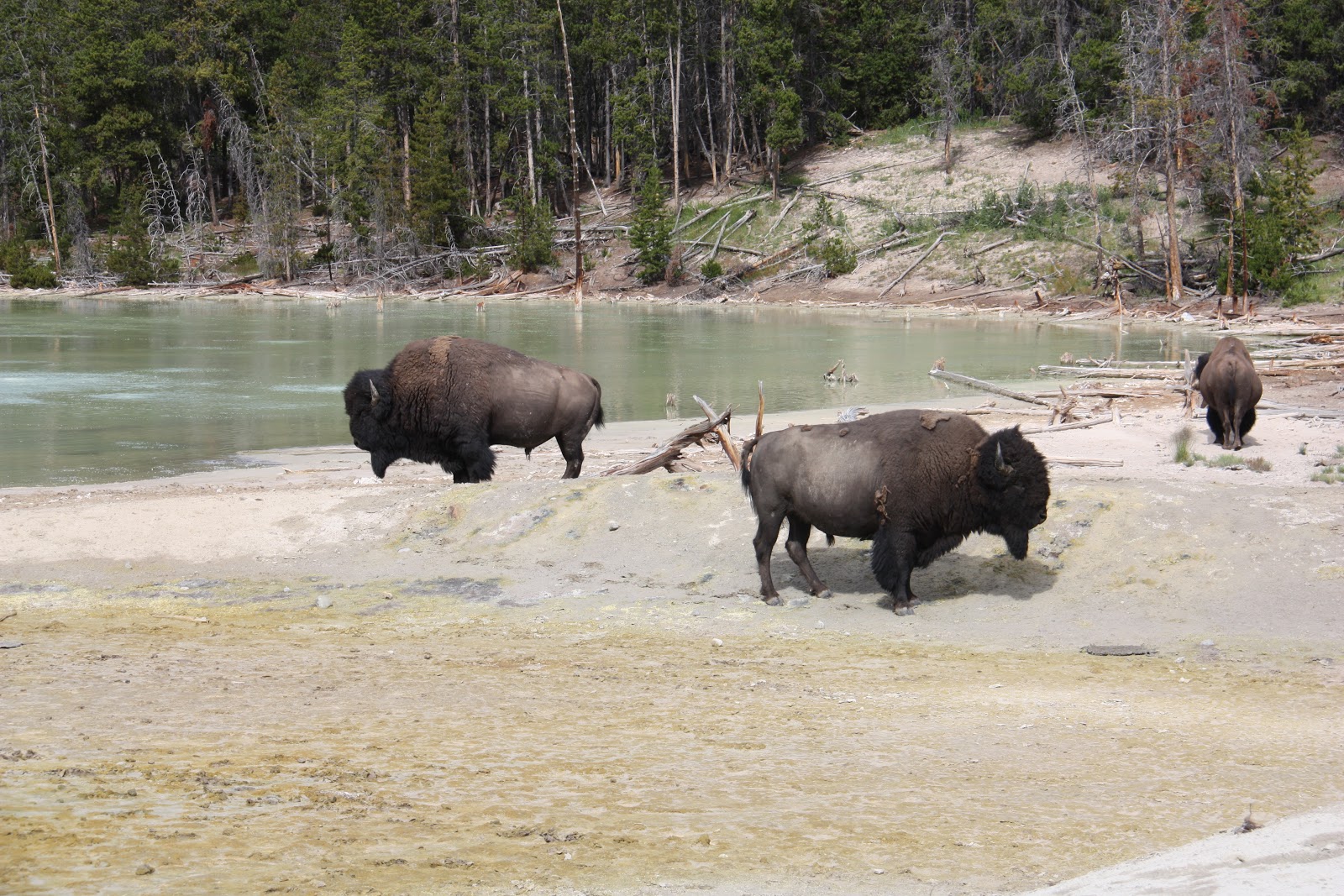 Lostentry - Welztalbahn, Model Railroading, and more: Best of ...