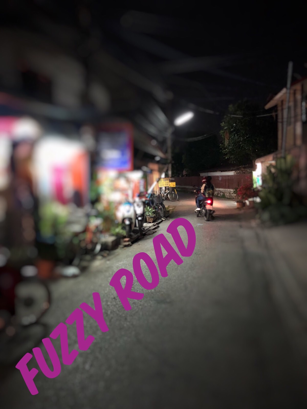 BAGeL Radio : indie rock noise pop internet radio: Fuzzy Road #204 ...