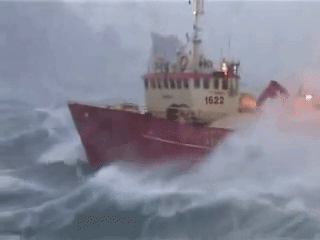 Caleta de cara al mar: ¿Cómo son los principales tipos de barcos pesqueros?