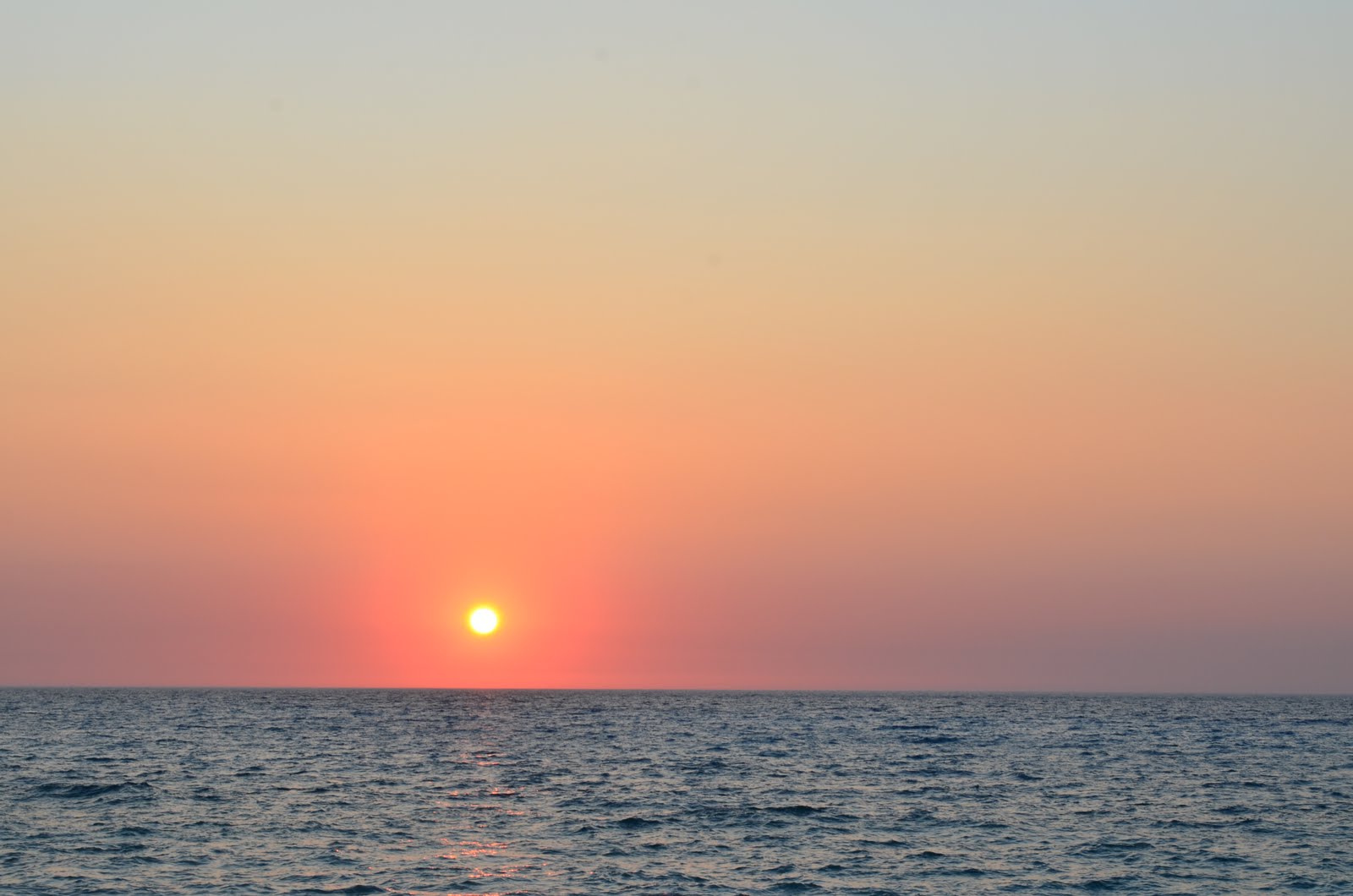 Jurnal de gradina: Apus de soare