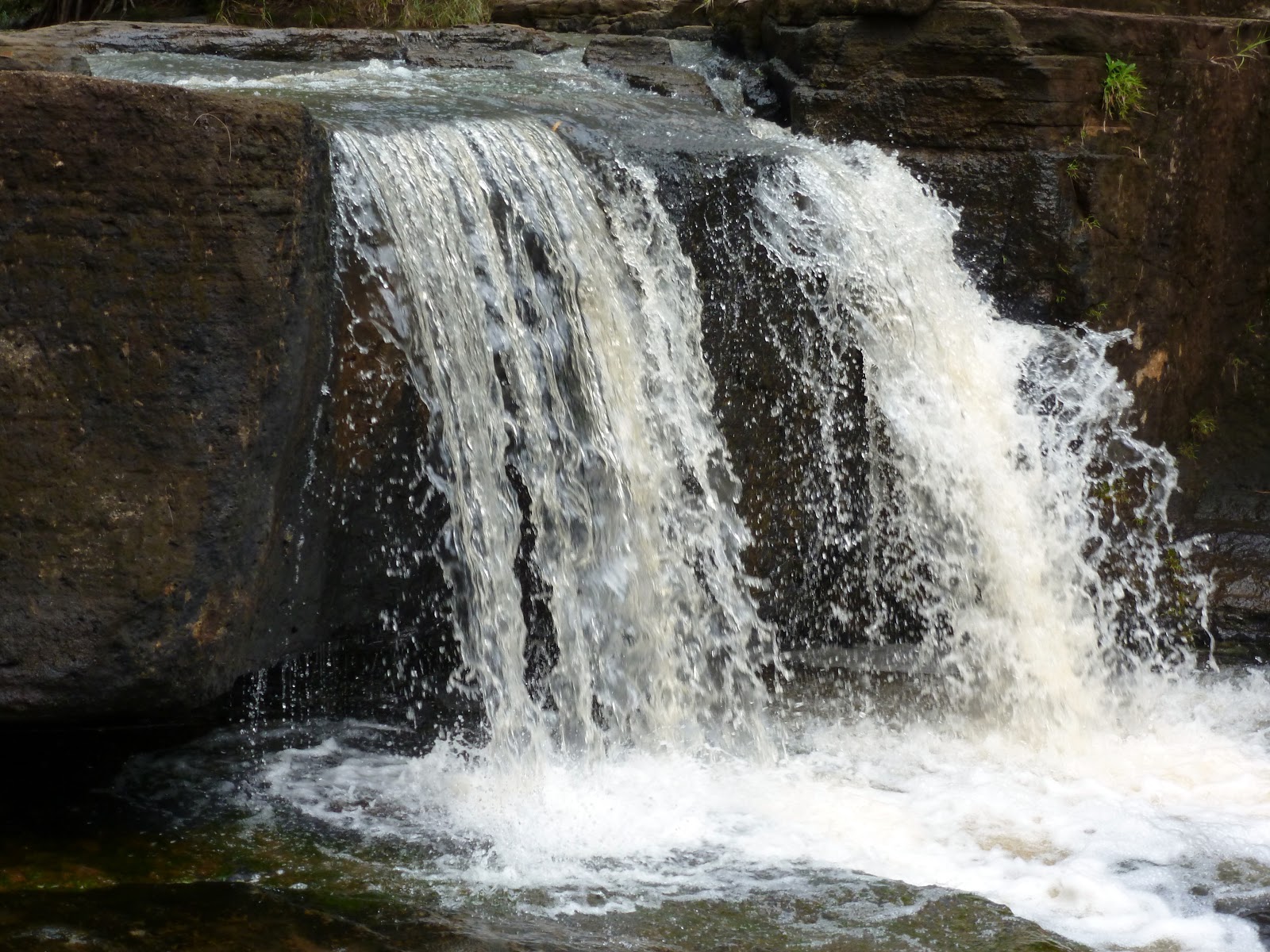 Guamaniacs: Boonie Stomping: Tarzan Falls