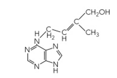 Ratna Dewi Wulaningsih: TANAMAN