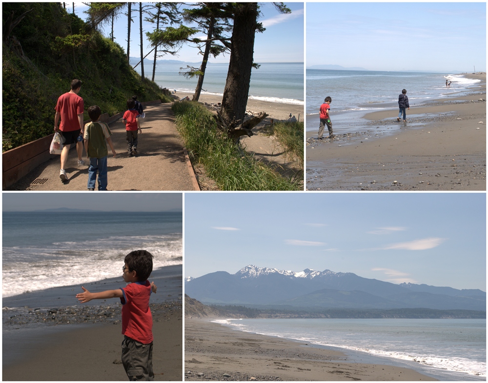 The Bumblebeez: The Unfinished Hike...Dungeness Spit, Sequim WA