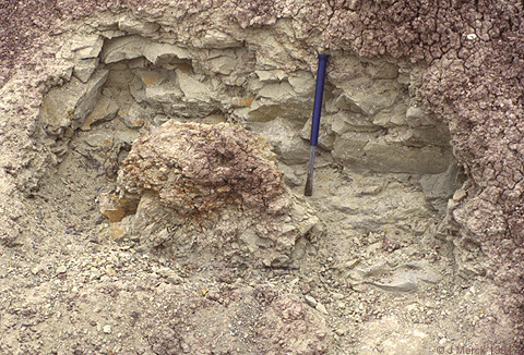 Terrigenous Clastics Rocks ~ NeededThing