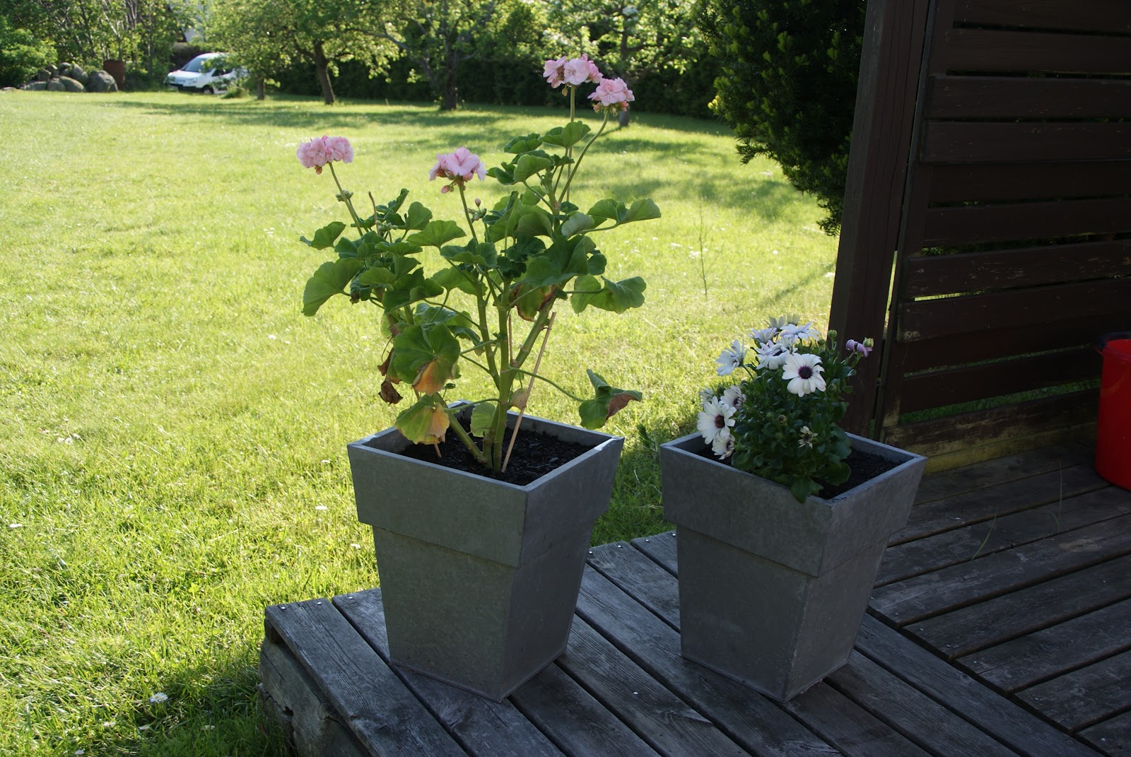 Mitt underbara liv: Plantering