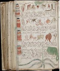 lacienagadelogro: El manuscrito Voynich