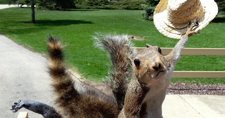 Mr. Shife's March Madness 2016 - Day 1