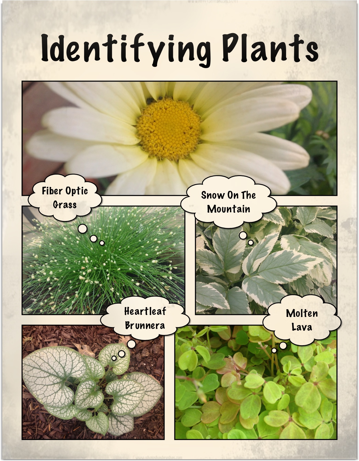 Ipads in K-8 Education: Strip Designer