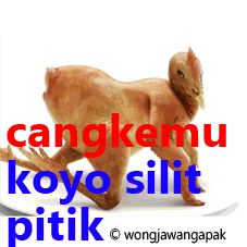 GAMBAR GIF ANIMASI BERGERAK LUCU TERBARU - KUTIPAN TERBARU