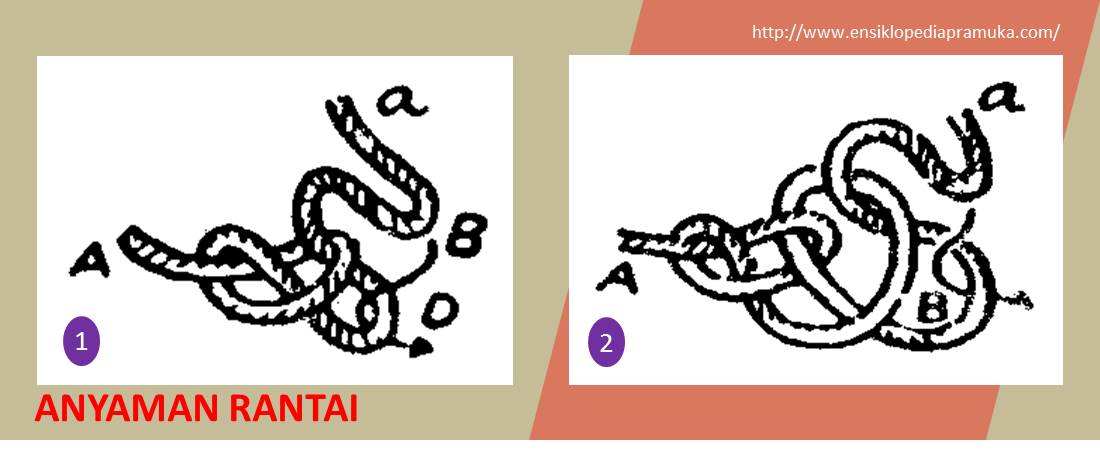 Tali temali : Jenis-jenis Simpul Anyam