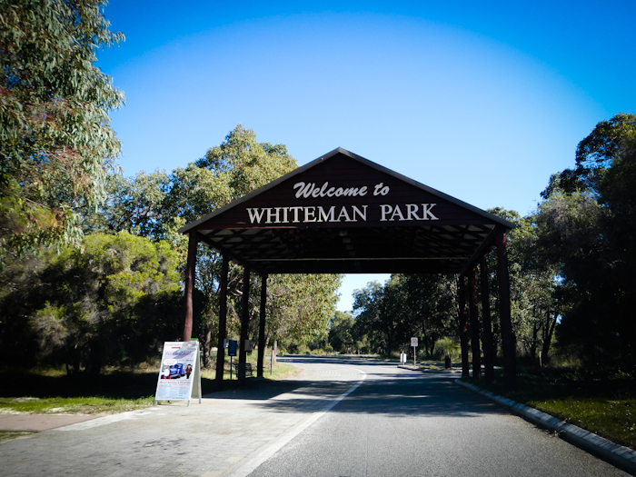 faithloveschocolate: Perth Day 2: Caversham Wildlife Park