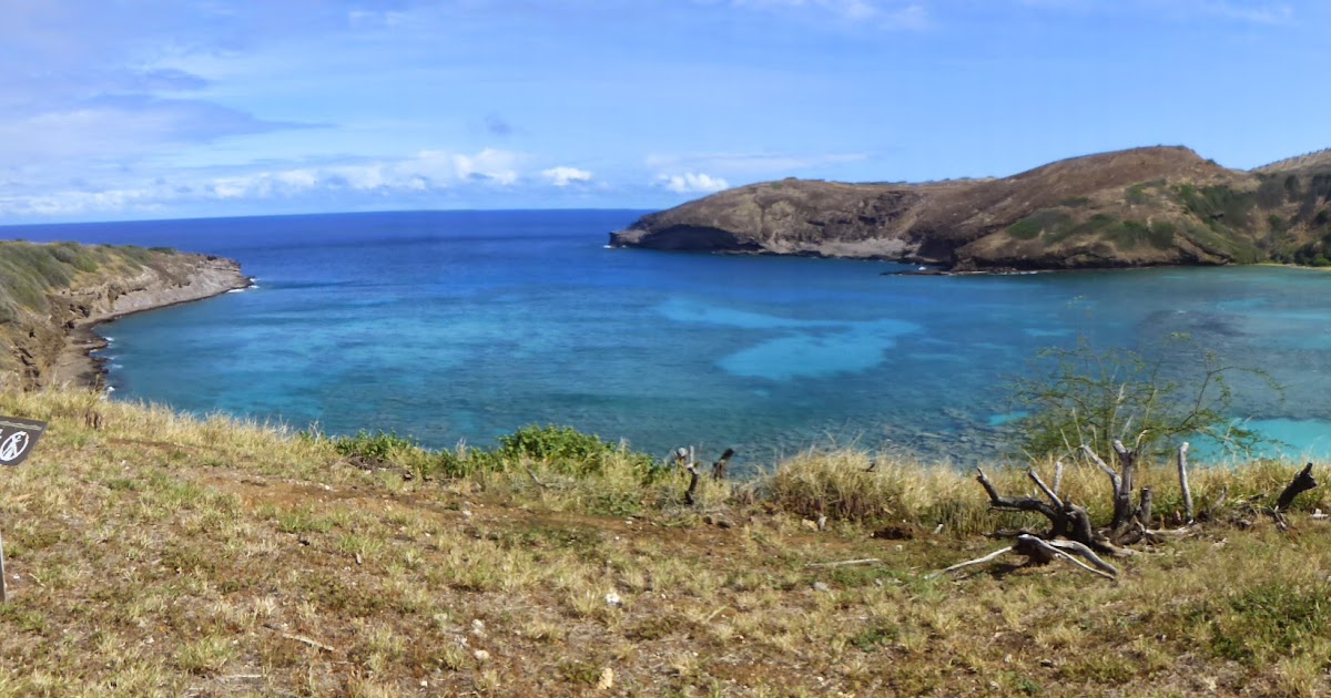 Places to Go, People to Meet: Hanama Bay / Last Night